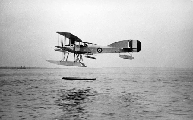 A Cuckoo in the Nest | Blog | RAF Museum